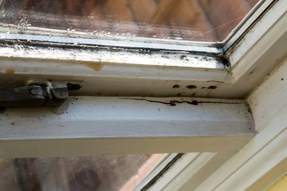 How to Fix Leaking Windows During Heavy Rain [2024 Guide]